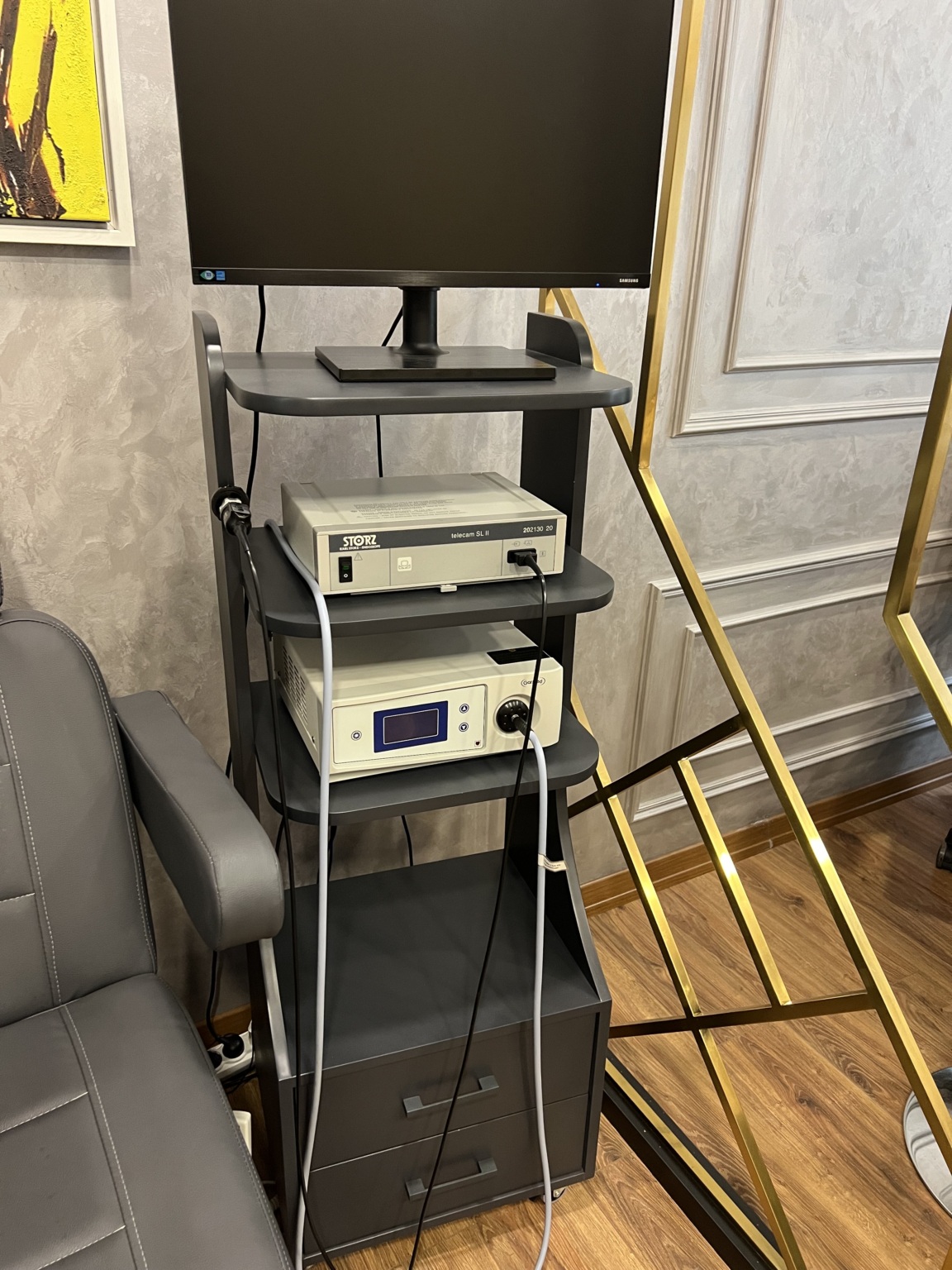 Secondhand Karl Storz Telecam SL Pal 202130 20 Endoscopy System ...